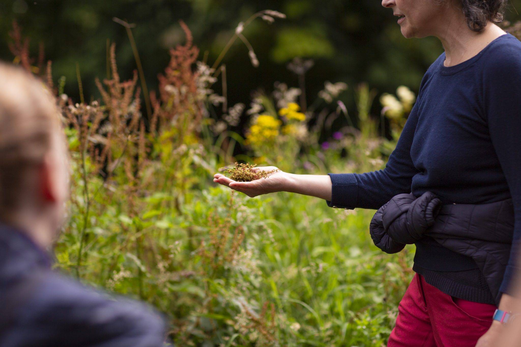 2hr “Foraging & Wild Crafting” Course | The Little Foragers Kitchen