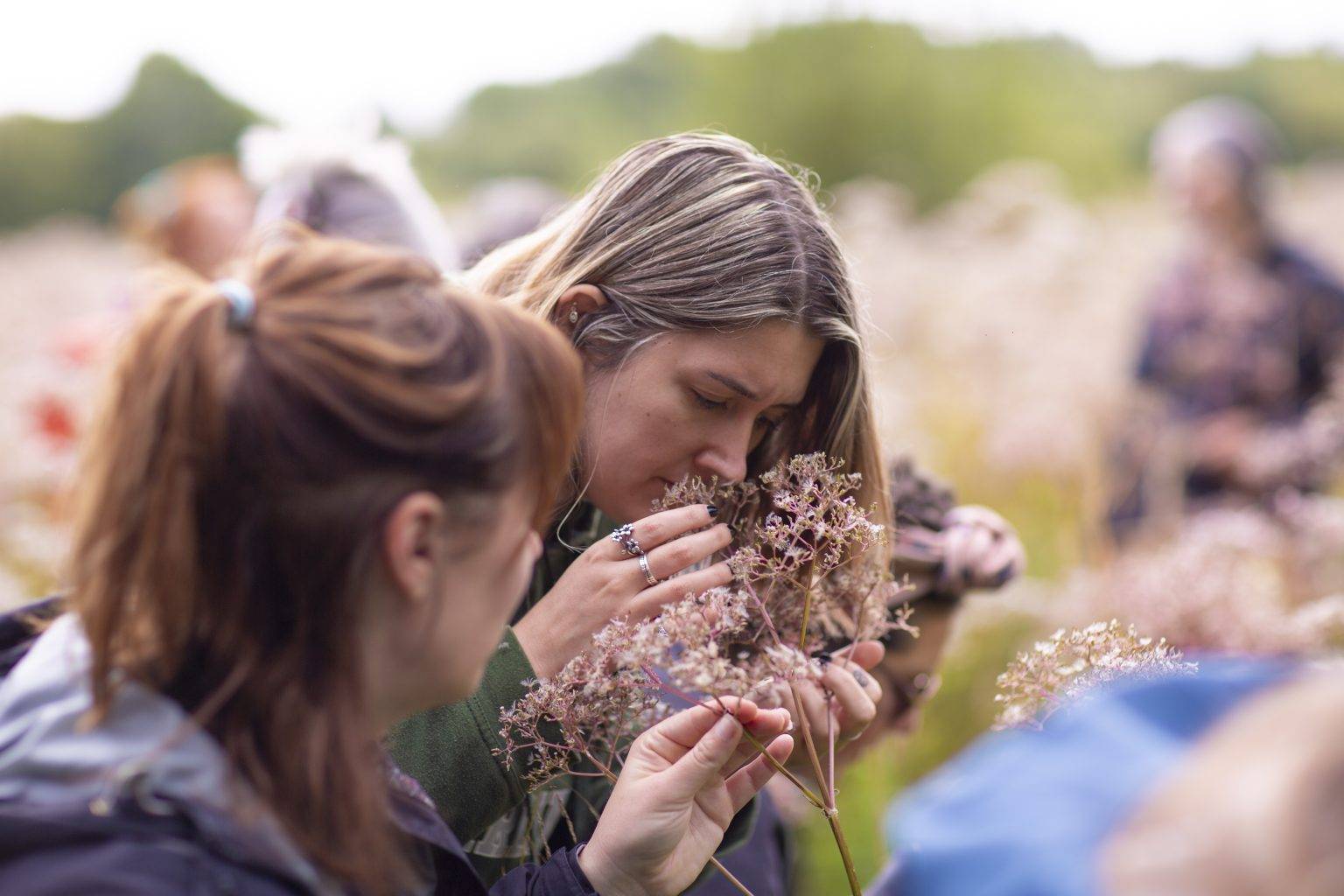 Wild Foraging Courses Scotland | The Little Foragers Kitchen